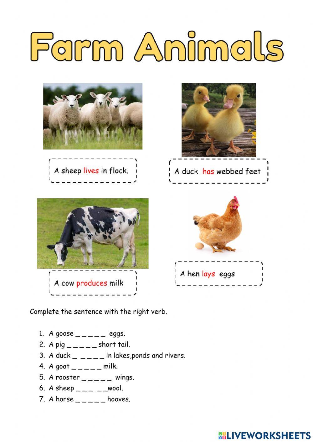 821666 | Farm Animals | Alexandra Matamoros