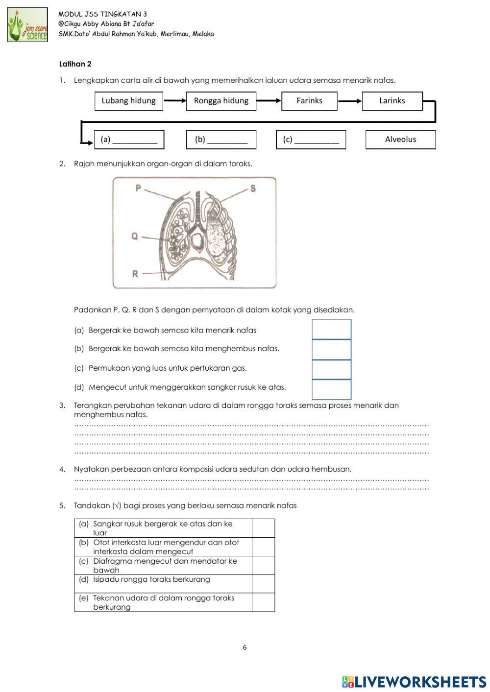 Proses menarik nafas dan menghembus nafas worksheet | Live Worksheets