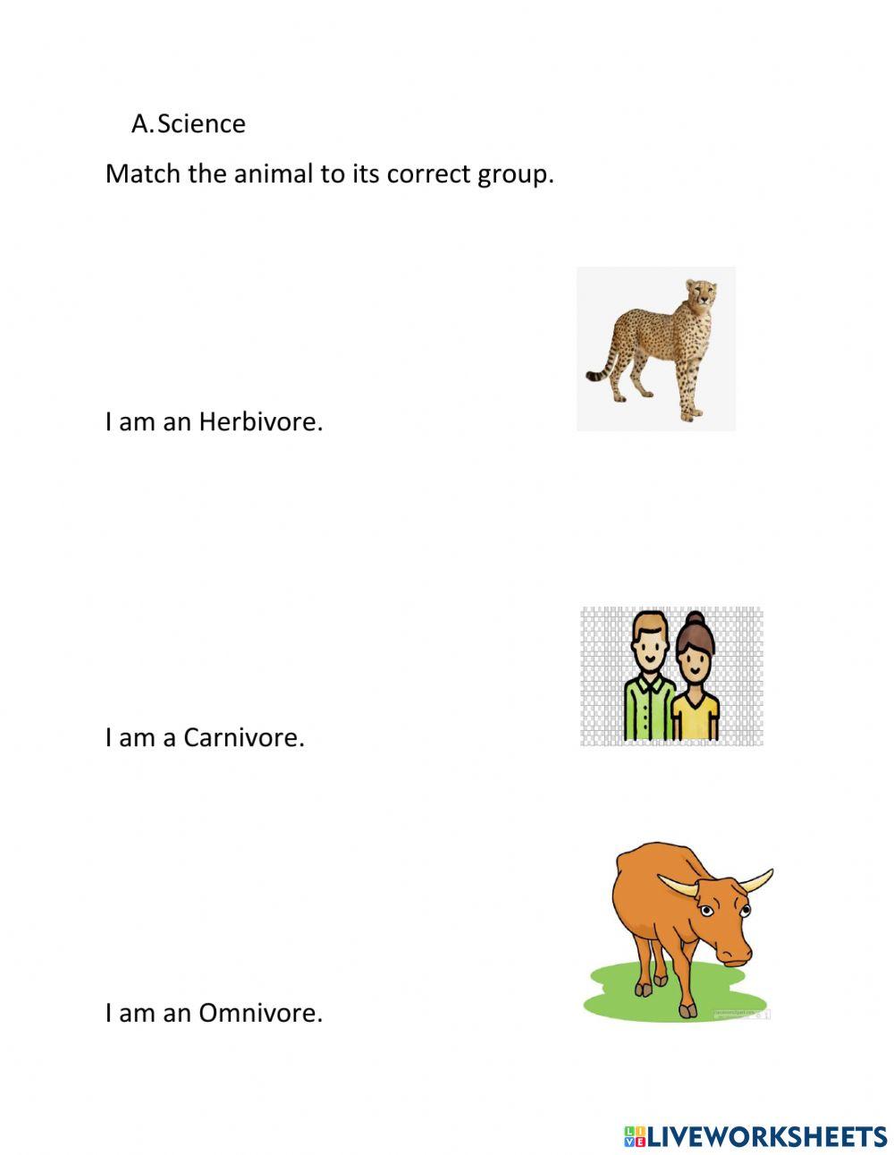 General Paper interactive worksheet | Live Worksheets