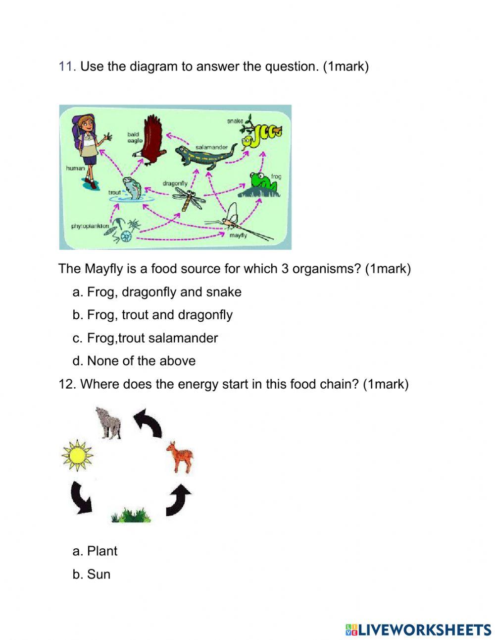Science 823131 | monisio | Live Worksheets