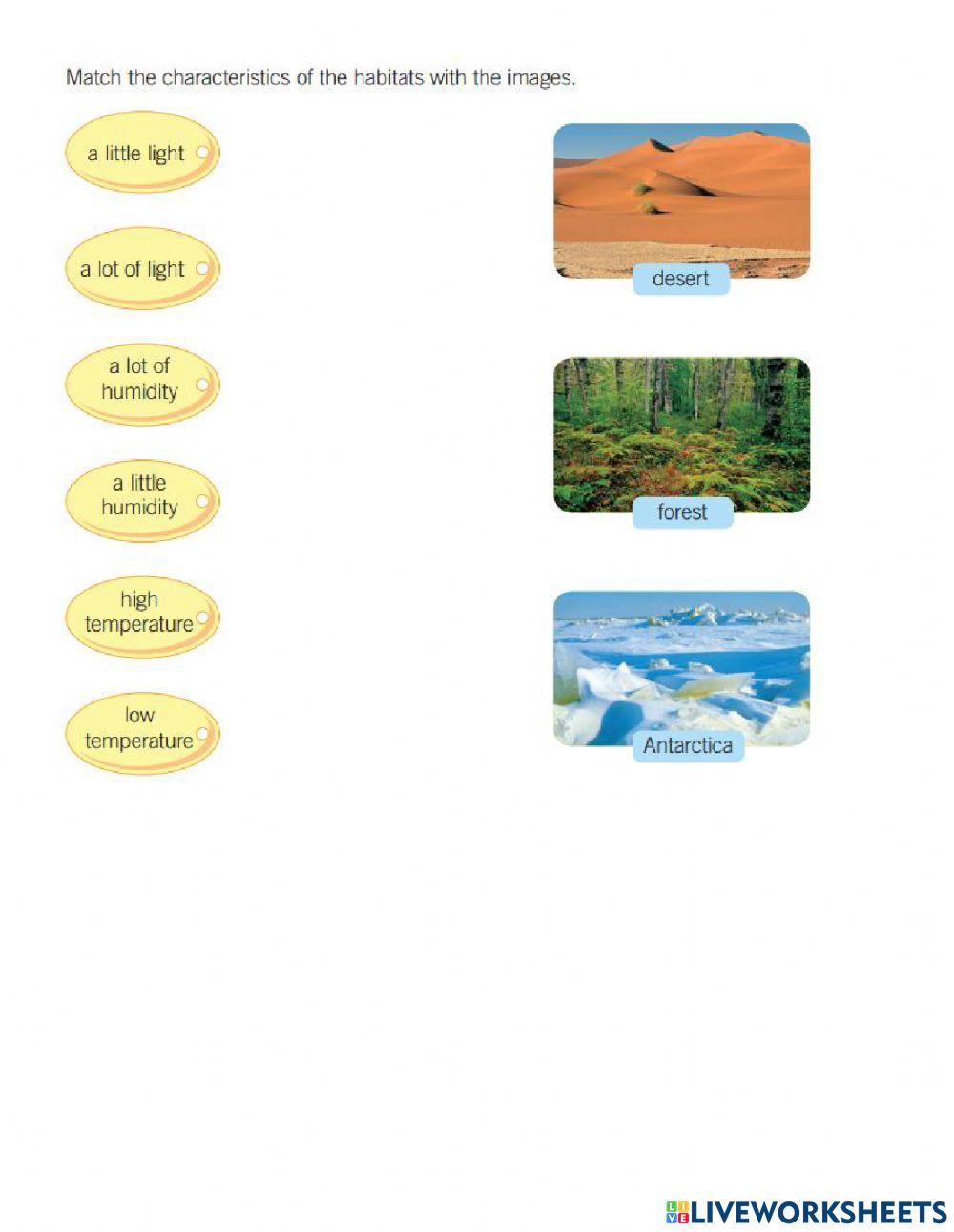 Science habitats worksheet | Live Worksheets