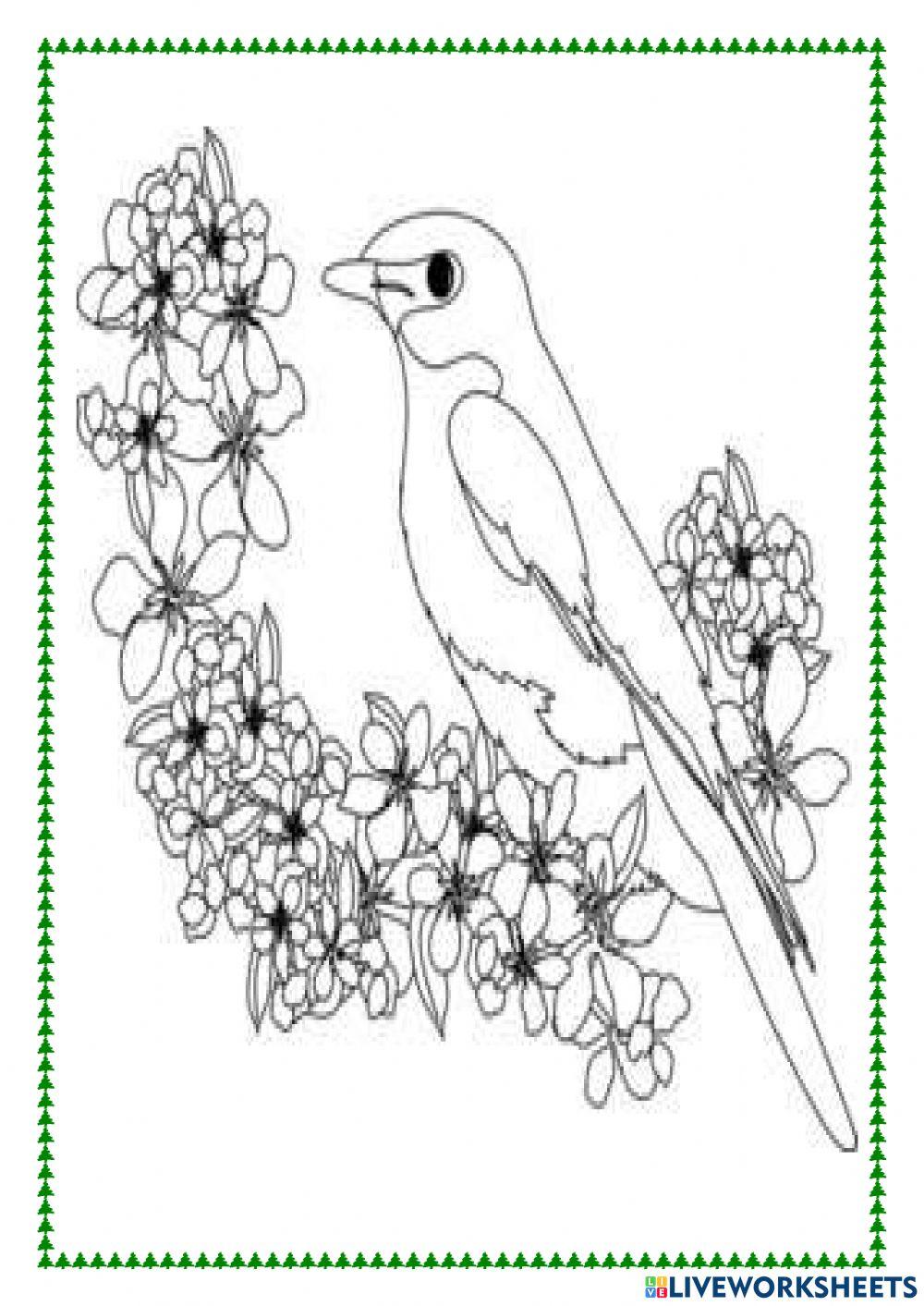 Lektyra worksheet | Live Worksheets