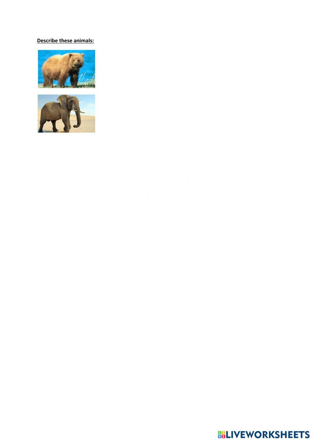 Animals vocabulary - test worksheet | Live Worksheets