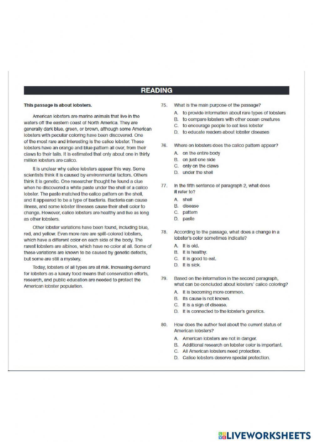 Ecce sample 2021 reading worksheet | Live Worksheets