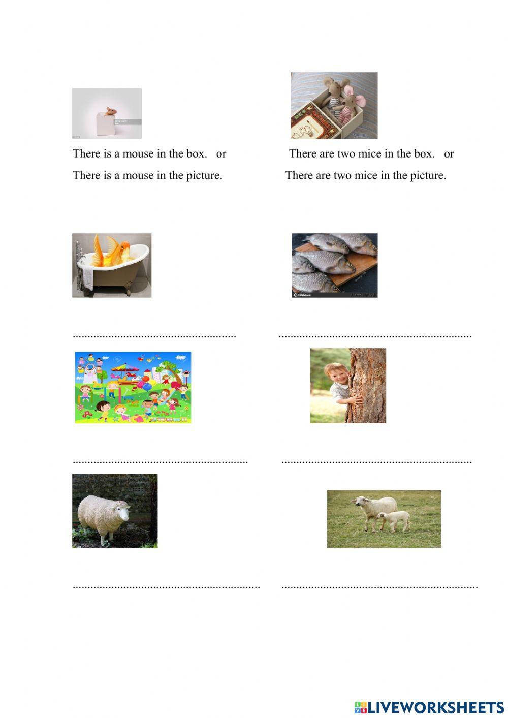 Test class 3 interactive worksheet | Live Worksheets