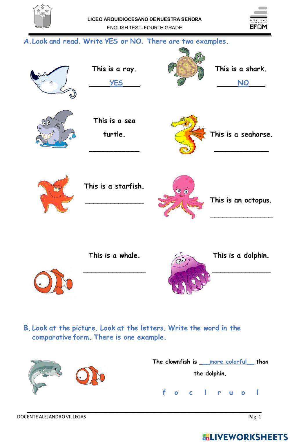 Fourth term test worksheet | Live Worksheets