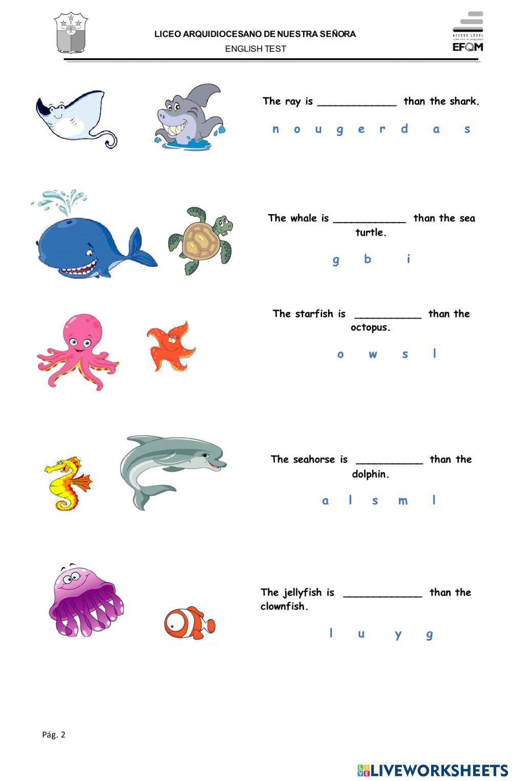 Fourth term test worksheet | Live Worksheets