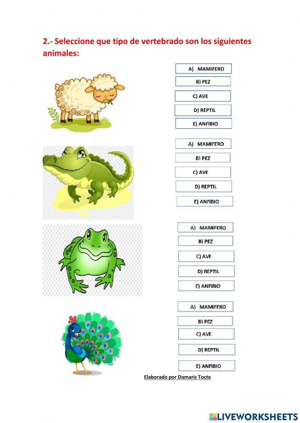Animales Vertebrados interactive worksheet for 4 | Live Worksheets