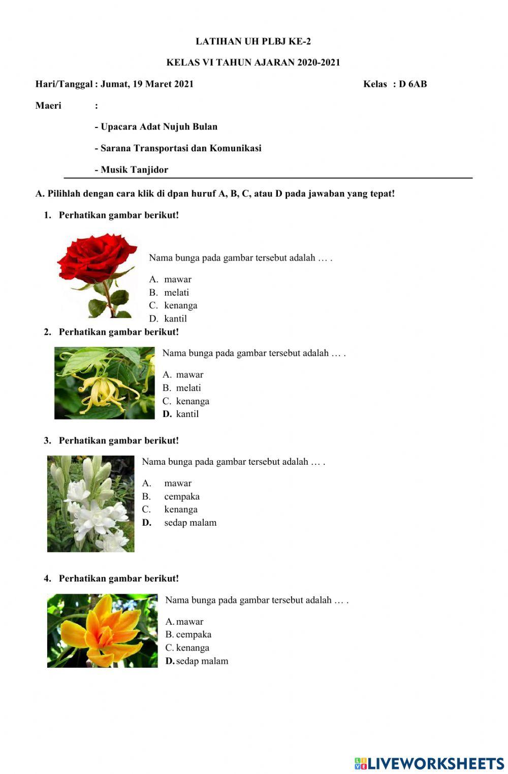 Latihan Ulangan PLBJ interactive worksheet | Live Worksheets