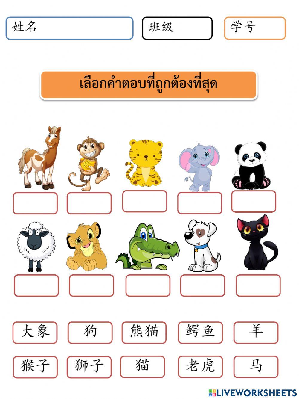 动物 activity for Grade 6 -12 | Live Worksheets