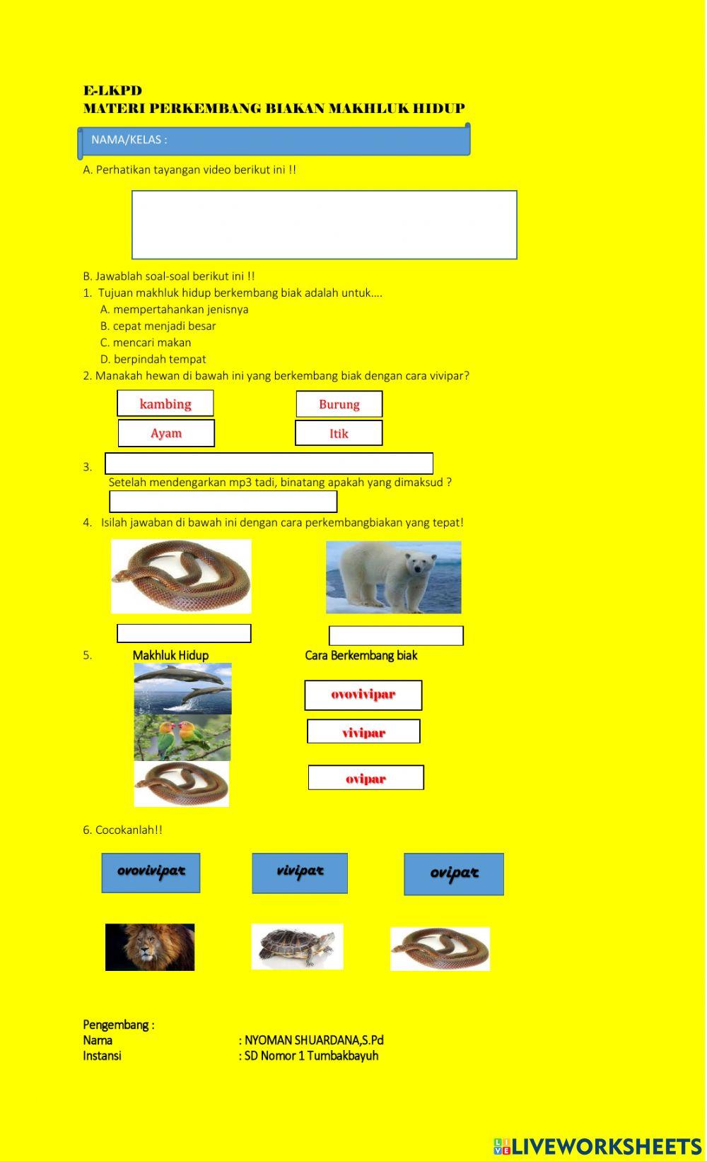 Latihan E-LKPD SD Nomor 1 Tumbakbayuh activity | Live Worksheets
