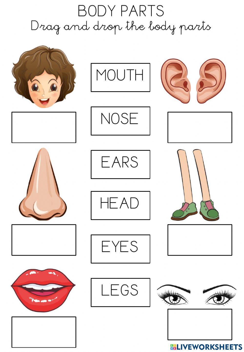 Body parts online exercise for primero de primaria | Live Worksheets