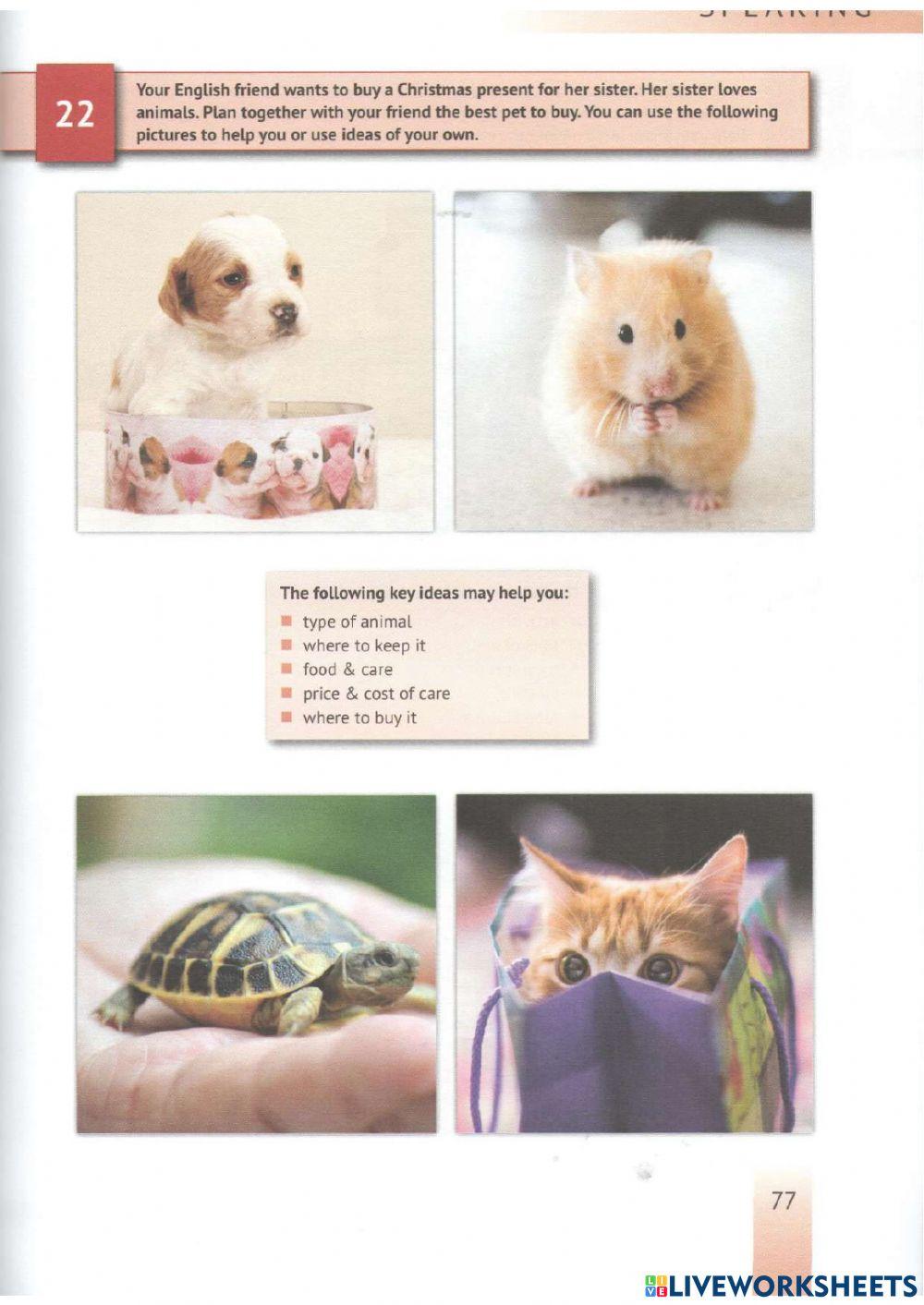 2300140 | English Test Training A2 - Speaking 15-24