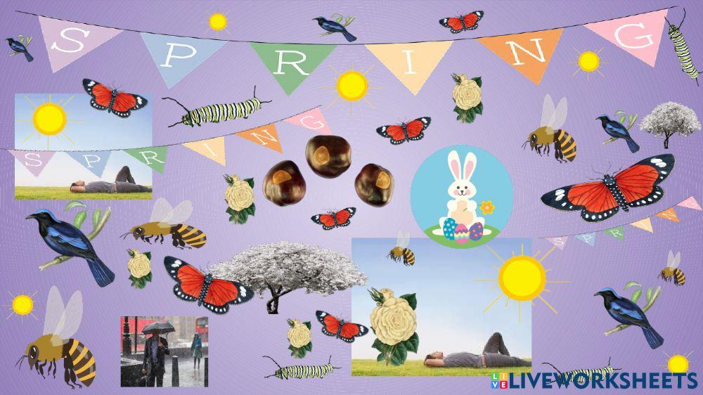 Spring I Spy & Count in ASL worksheet | Live Worksheets