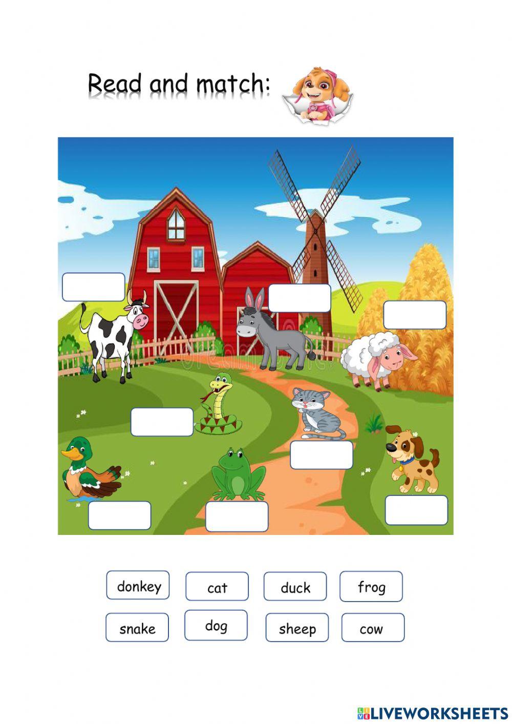 Animalspart1 833687 | Maryam Khamis | Live Worksheets