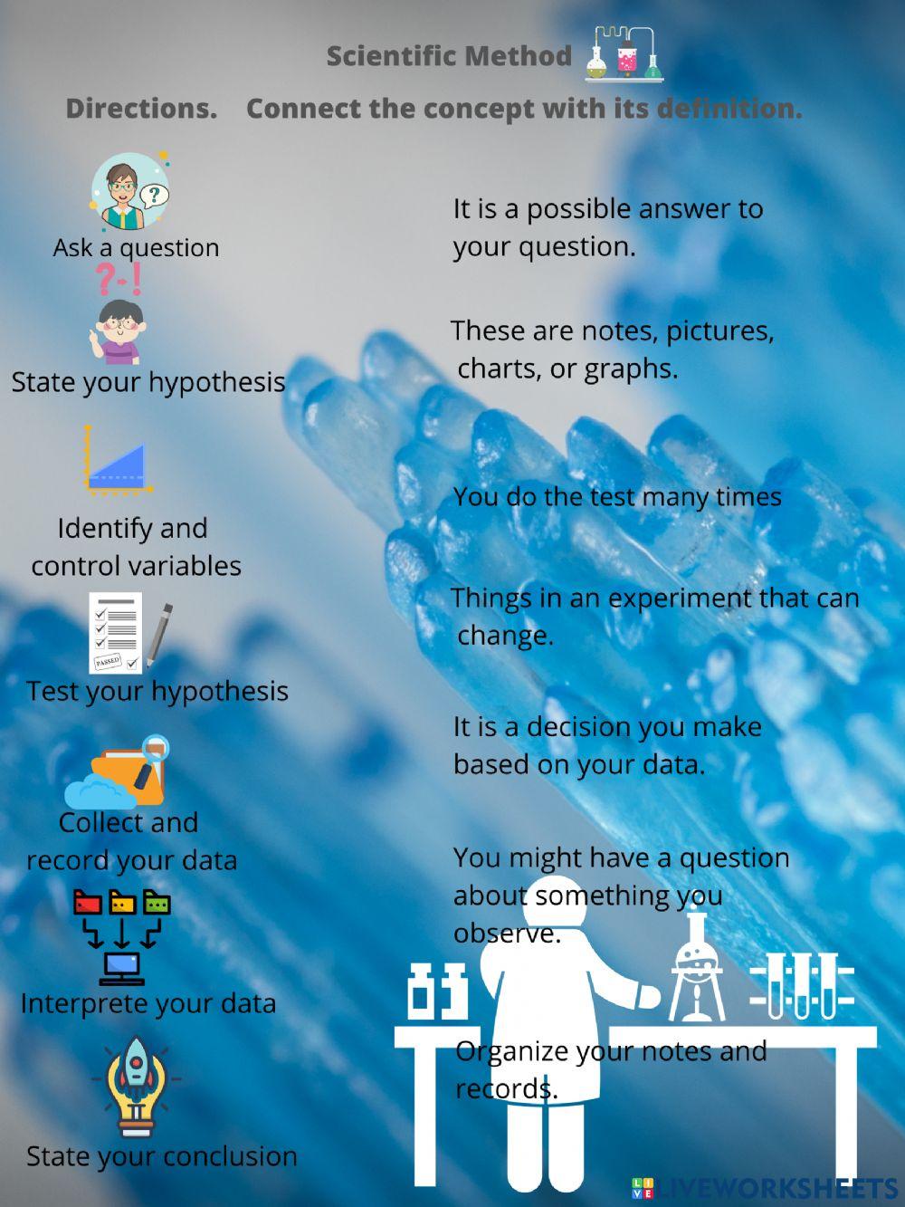 Scientific Meth… | Free Interactive Worksheets | 773507