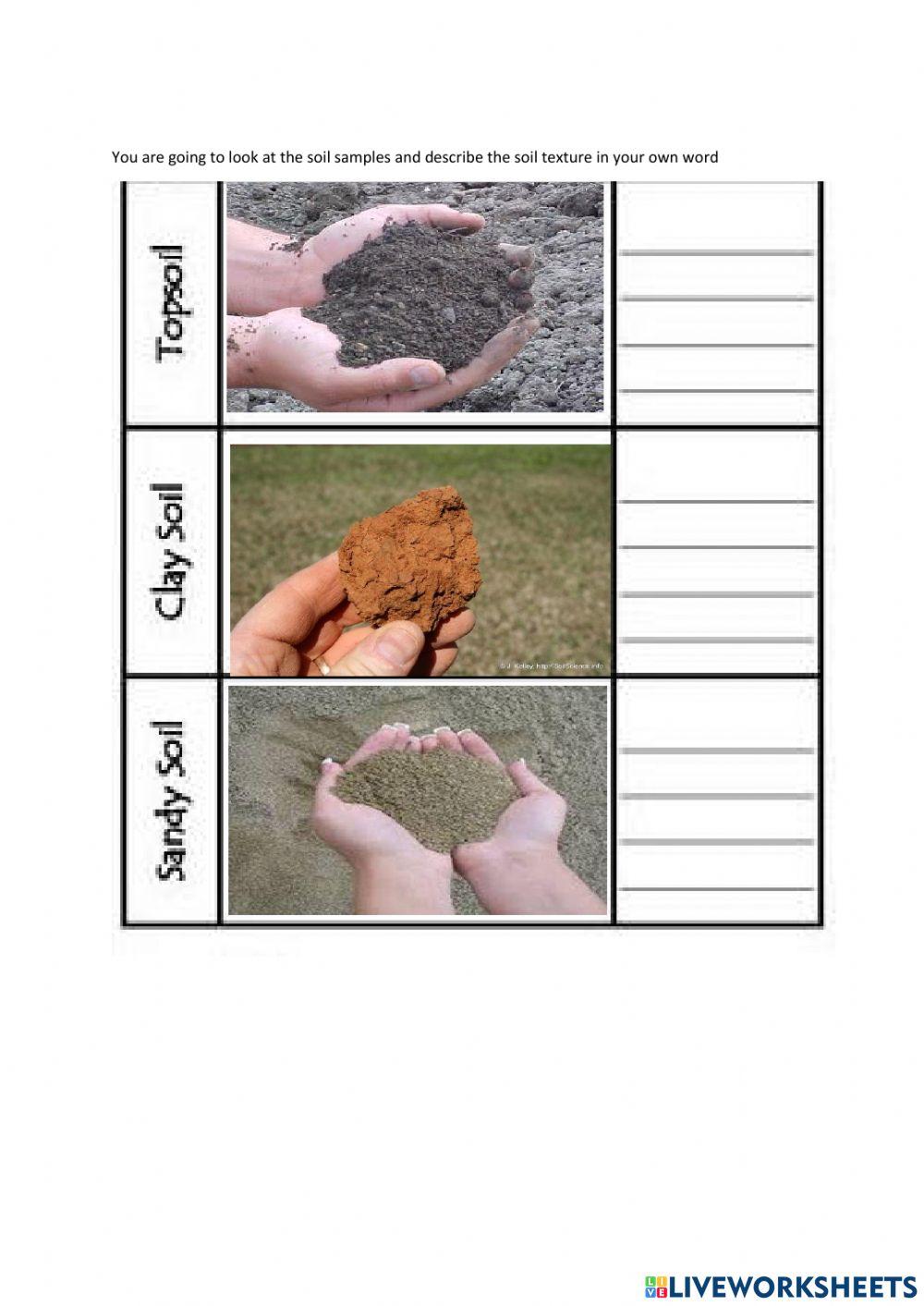 775324 | Soil samples | Grace Vogt | LiveWorksheets