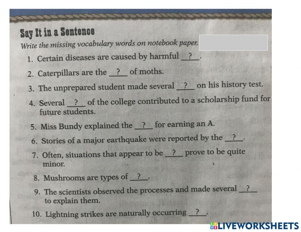 Say it in a Sentence List 5- MORE PLURALS 834240 | Mónica