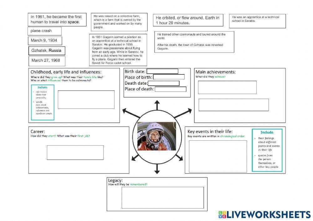 Plan for Biography worksheet | Live Worksheets
