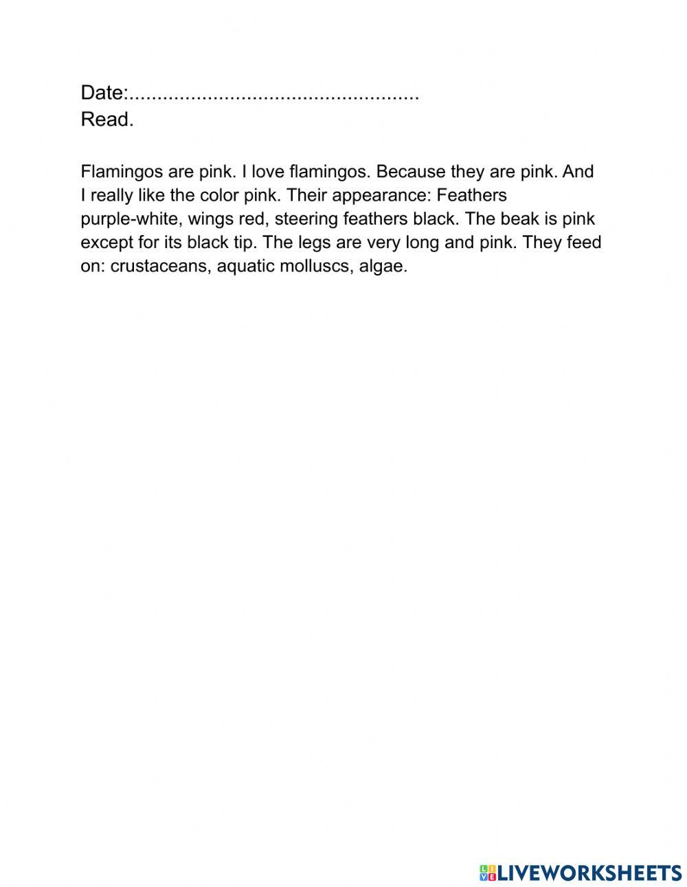 Read text worksheet | Live Worksheets