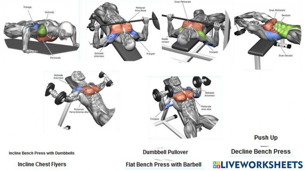 shest 1 online exercise for | Live Worksheets