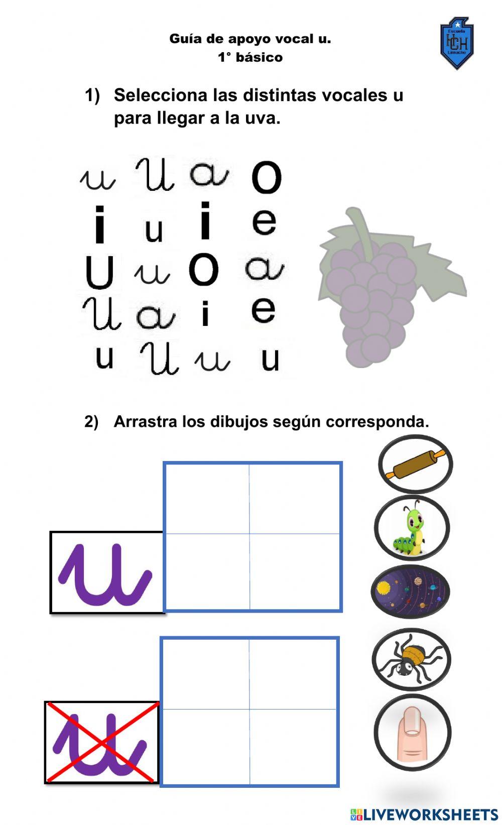 Vocal u | Free Interactive Worksheets | 837214