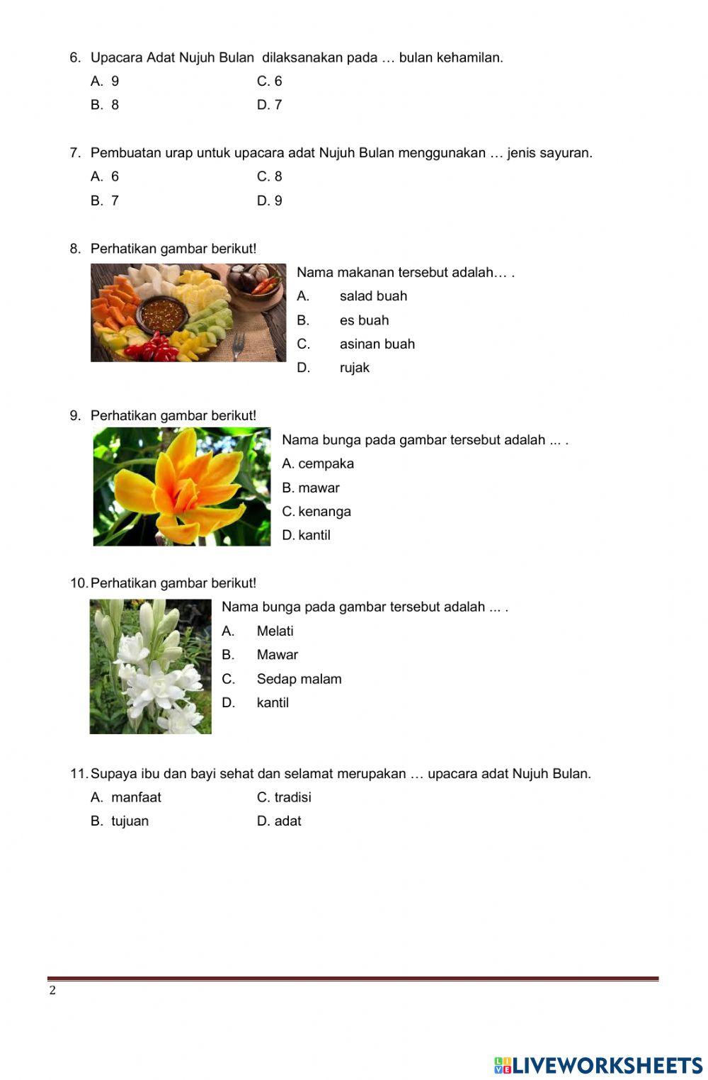 Uh plbj worksheet | Live Worksheets