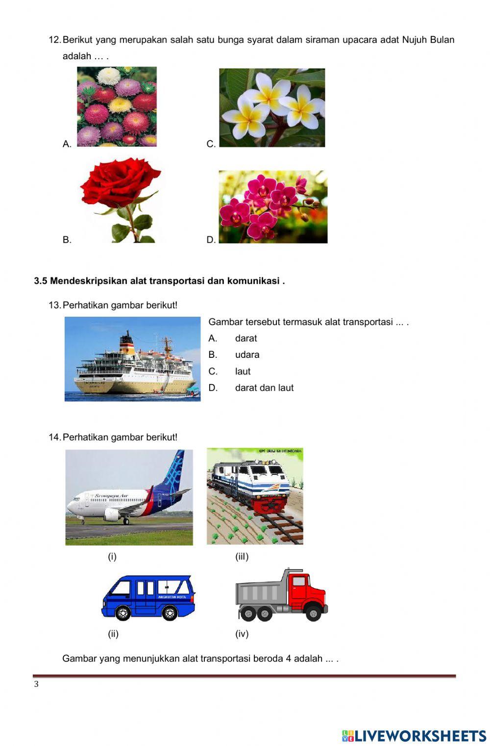 Uh plbj worksheet | Live Worksheets