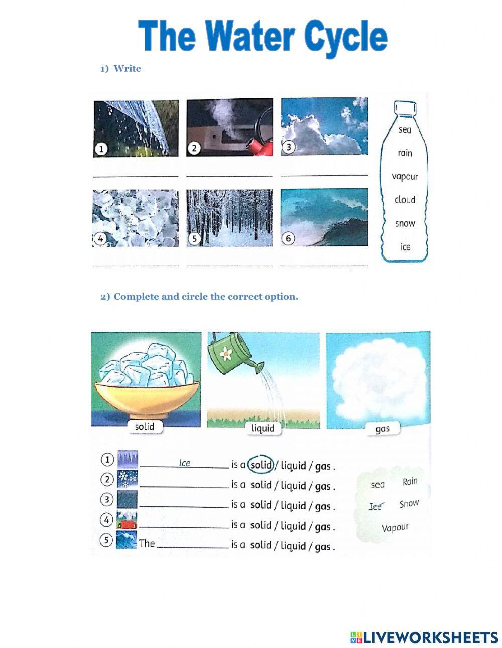 Evaporation Vs Condensation Worksheet Live Worksheets, 46% OFF Evaporation Vs Condensation Worksheet Live Worksheets, 46% OFF