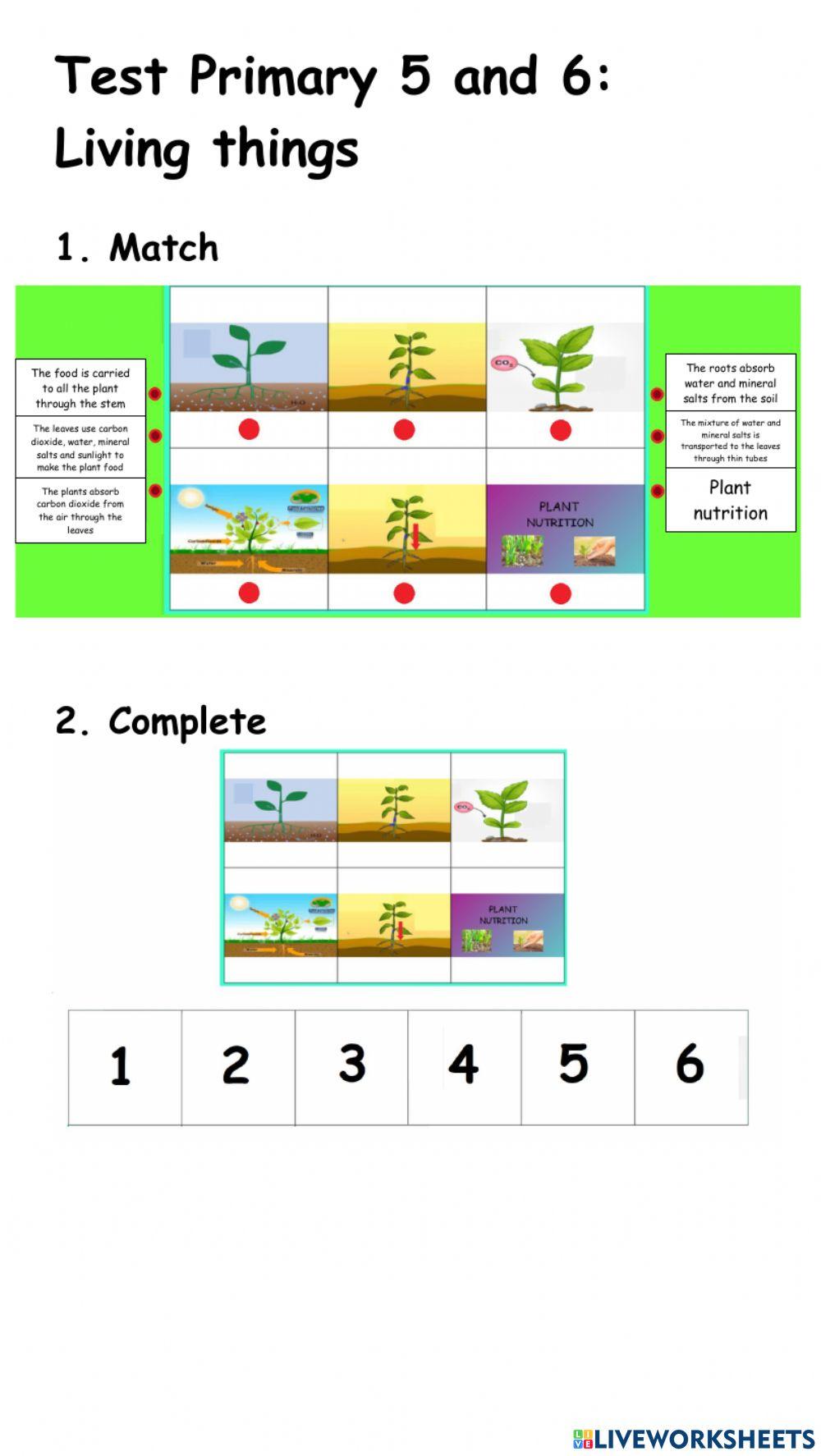 Test P5 and 6: … | Free Interactive Worksheets | 839188