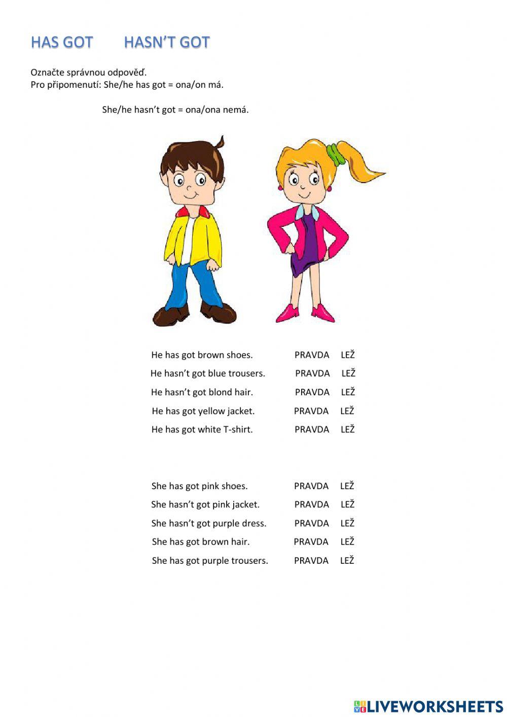 Has got hasn't got activity | Live Worksheets