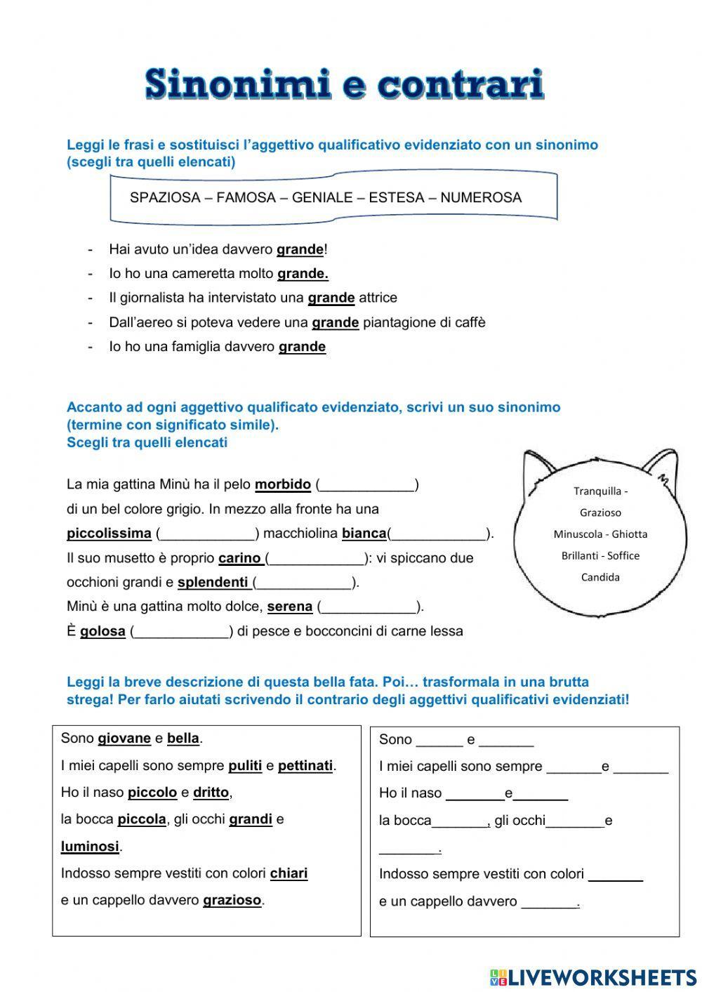 Sinonimi e Contrari online exercise | Live Worksheets