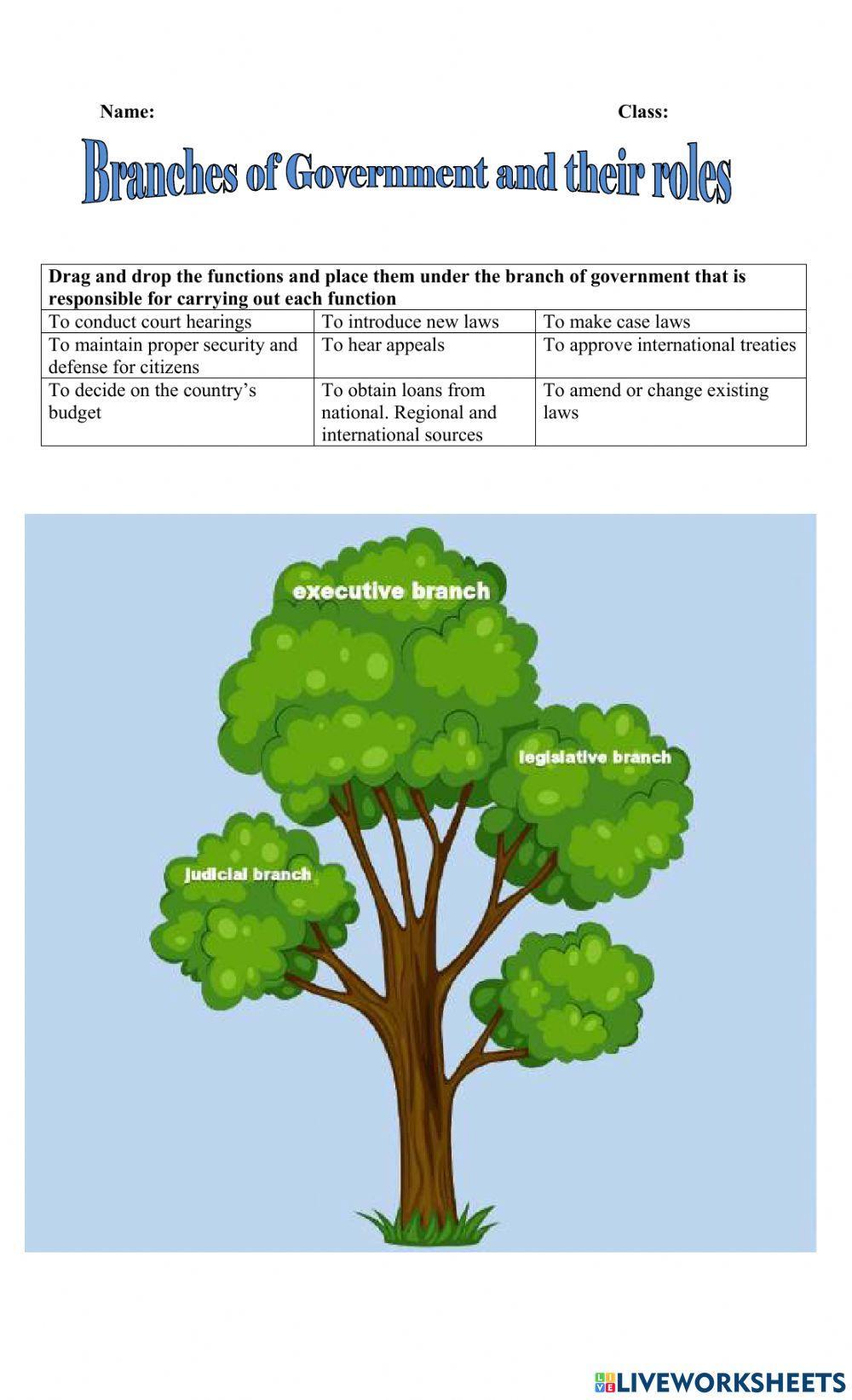 branches-of-government-their-roles-worksheet-worksheet-live-worksheets
