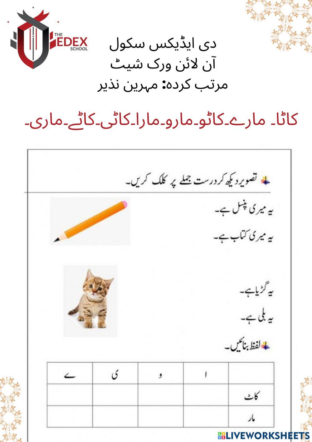 Alfaz sazi | Free Interactive Worksheets | 842799