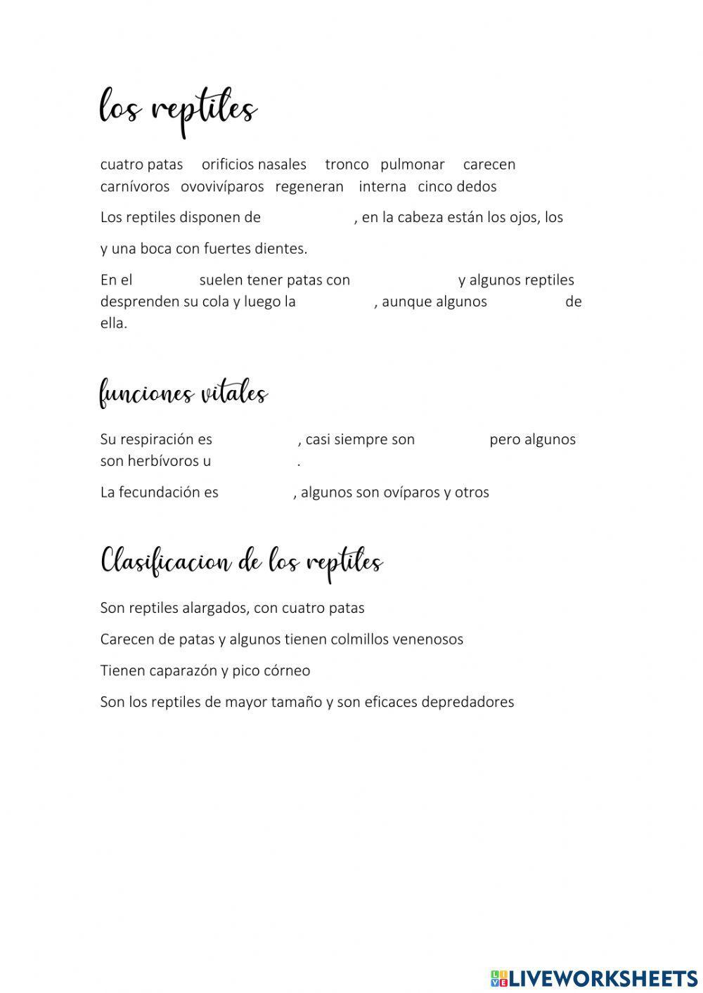 Los Reptiles: Animales Vertebrados 844551 | Sofía García