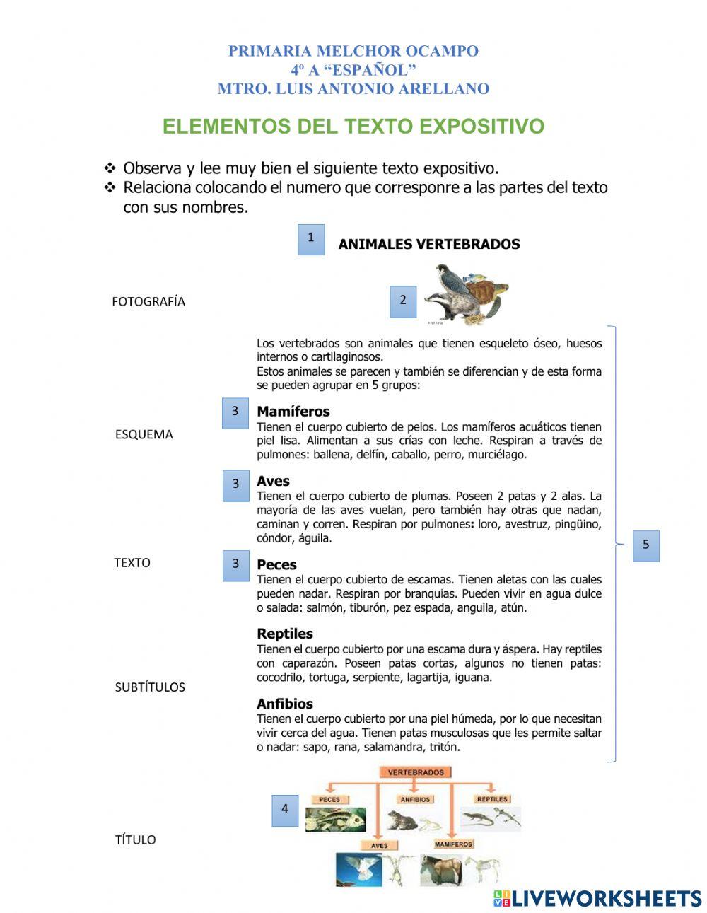 Elementos del texto expositivo worksheet | Live Worksheets