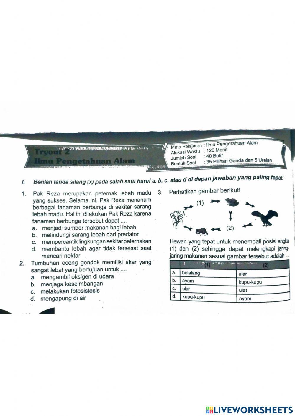 TTO 2 IPA SUWI 846060 | suw | Live Worksheets