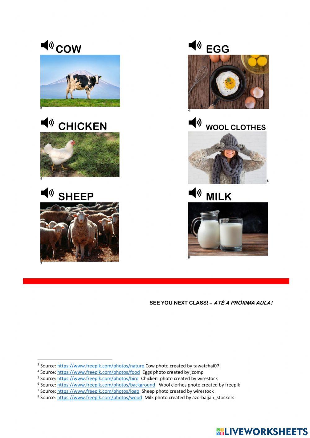 Things animals and insects give us worksheet | Live Worksheets