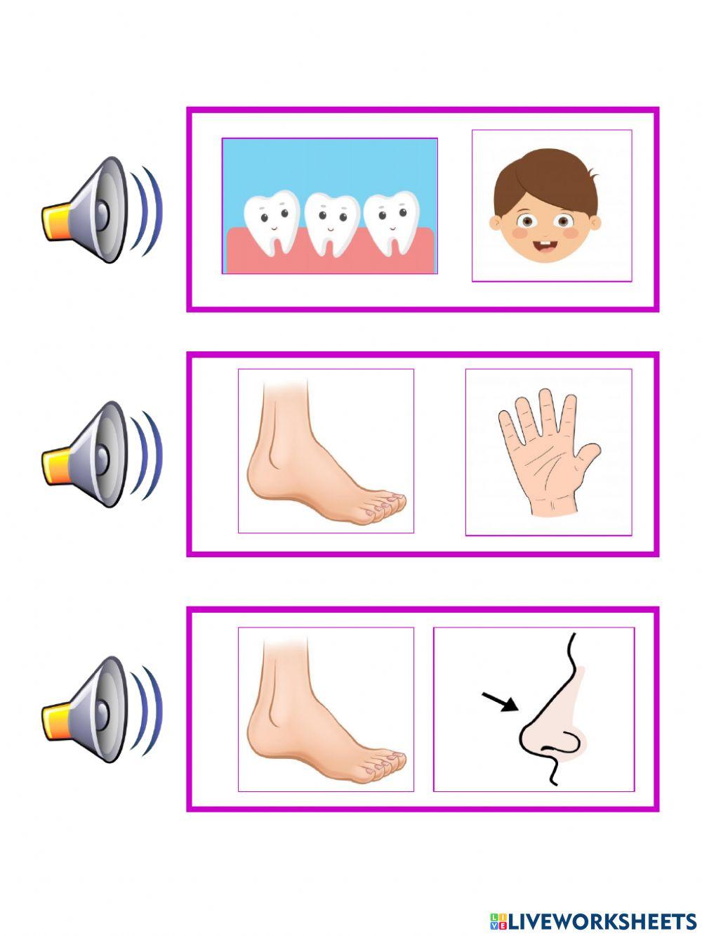 I prueba de cie… | Free Interactive Worksheets | 6498009