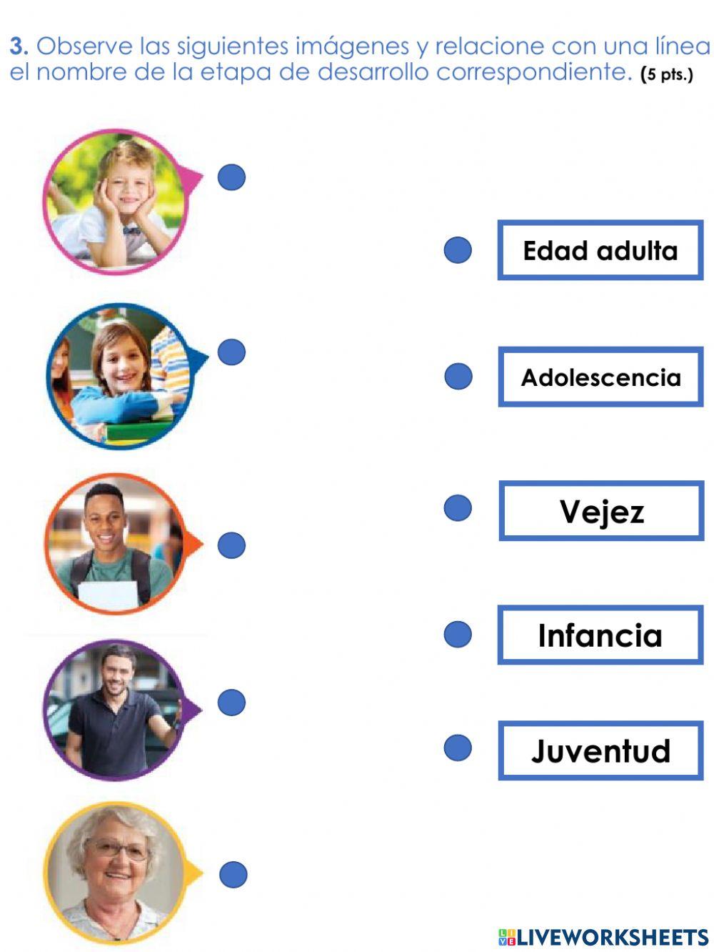I prueba de cie… | Free Interactive Worksheets | 6495351