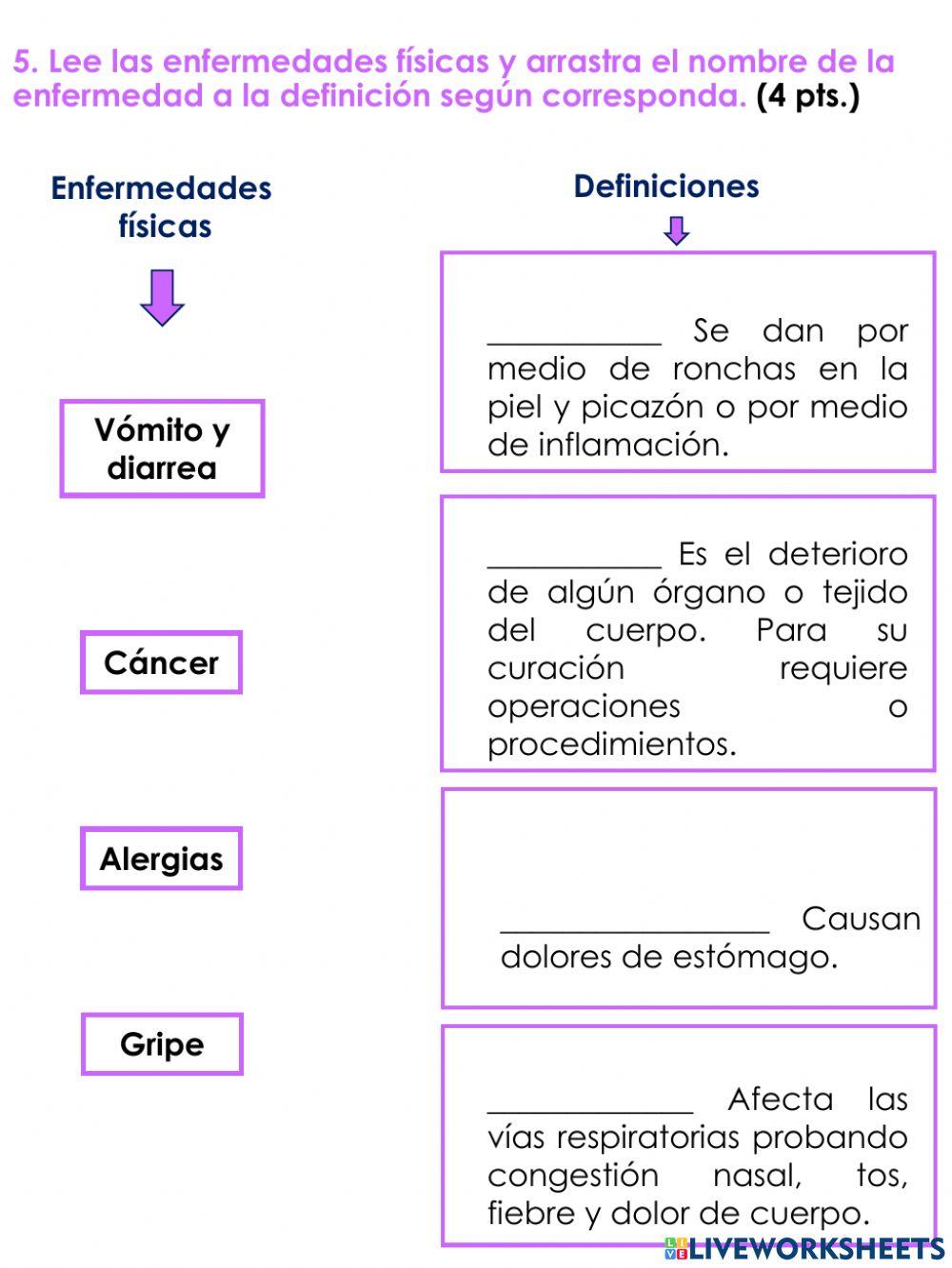 I prueba de cie… | Free Interactive Worksheets | 6495351