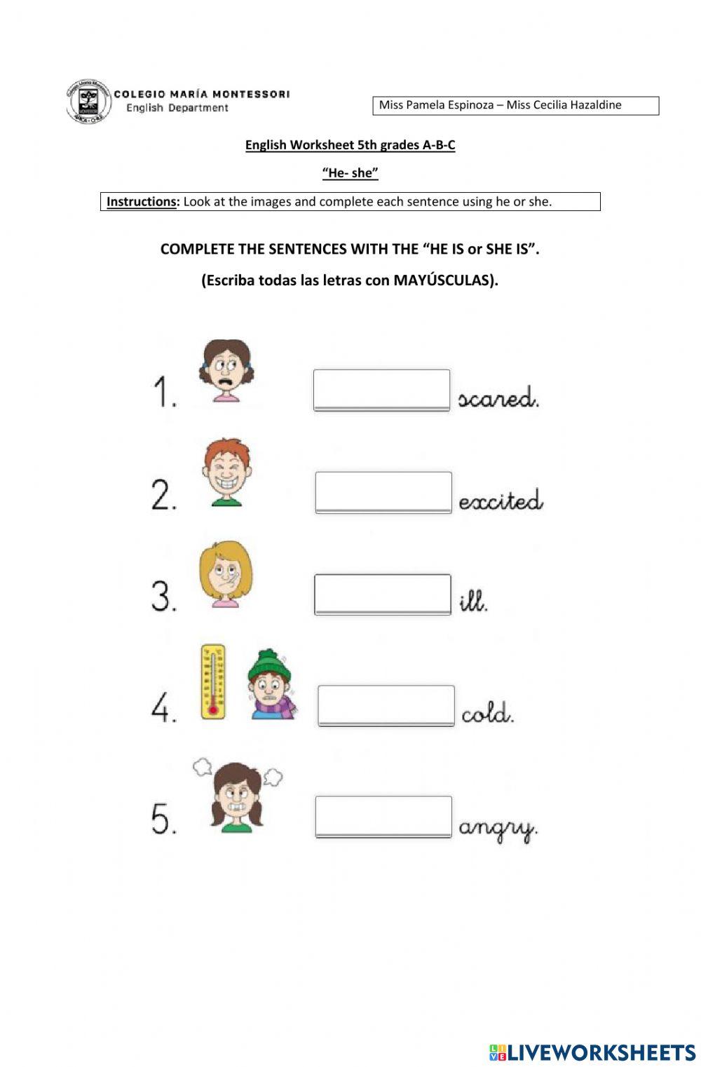 He she | Free Interactive Worksheets | 846488