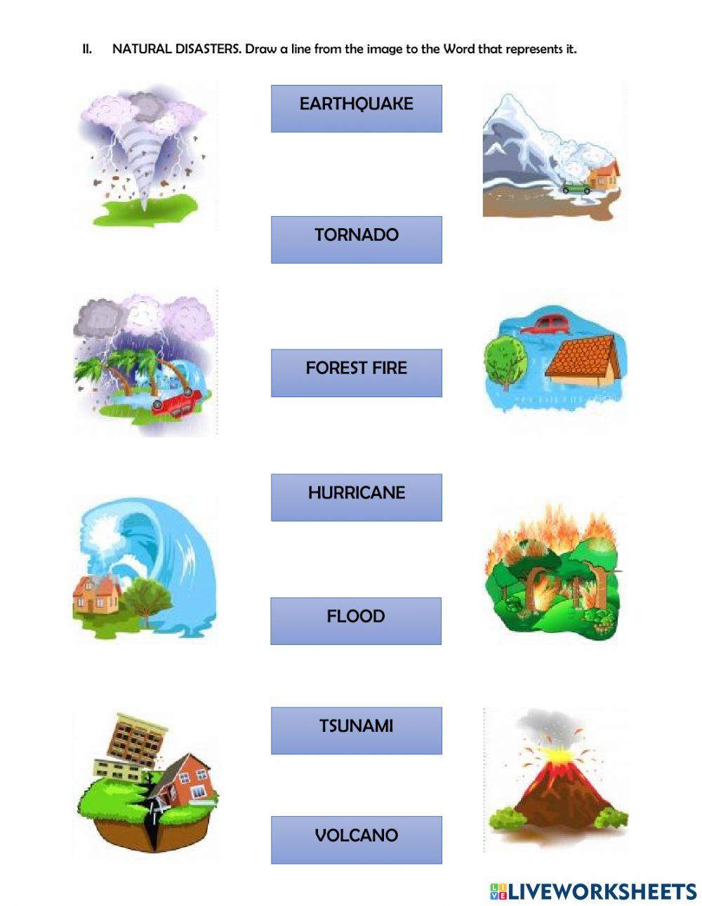 Science online exercise for BASIC | Live Worksheets