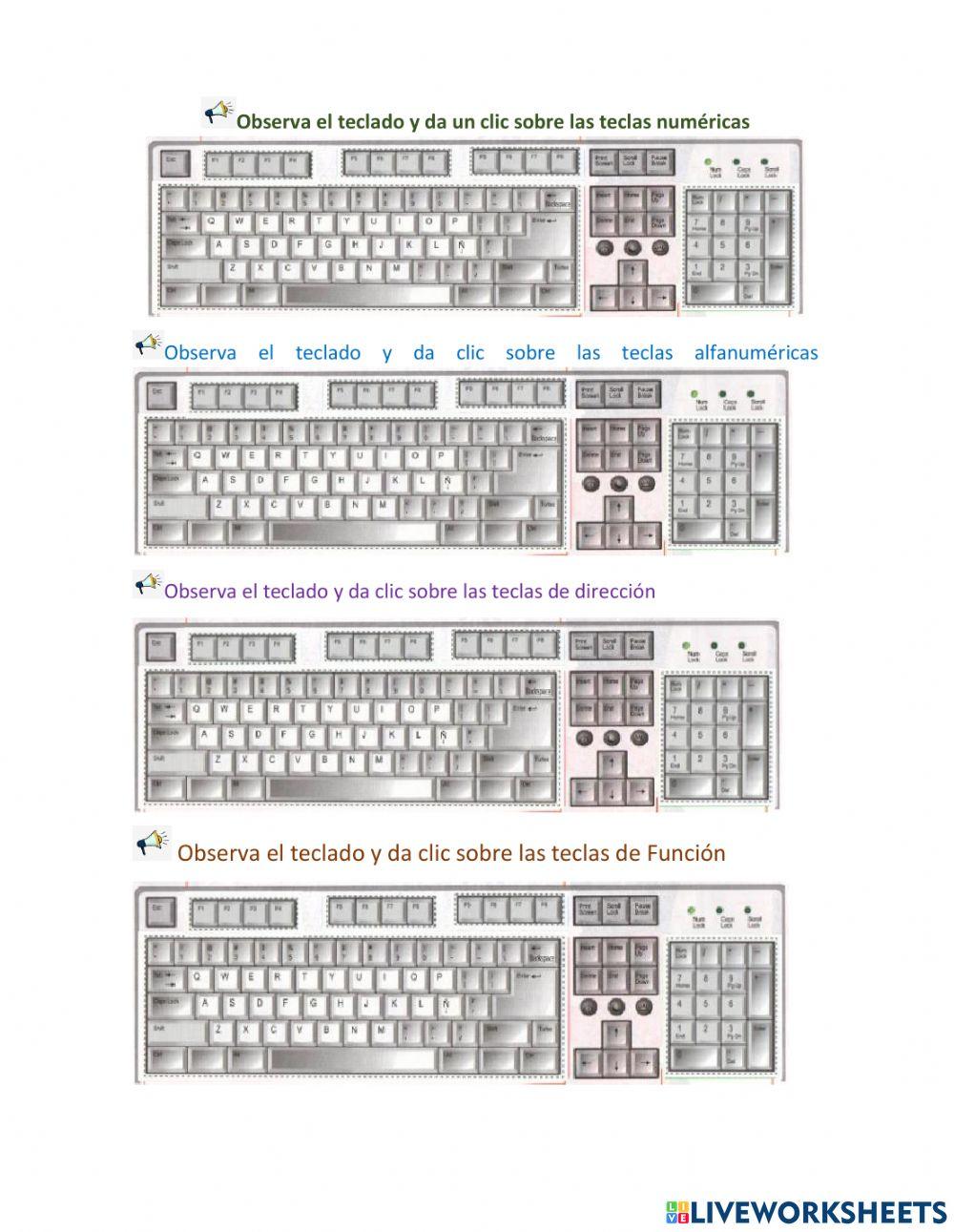 El Teclado Y Sus Partes 846947 Lizgina Live