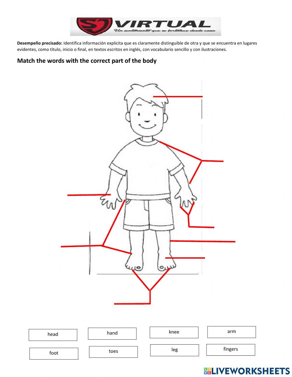 Parts of the body online exercise for p2 | Live Worksheets