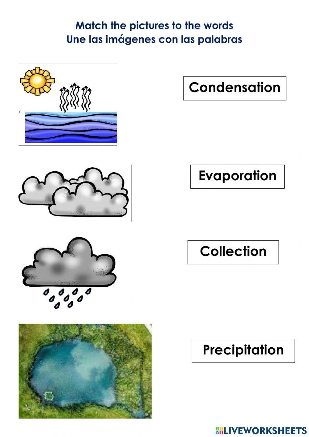 Water Cycle online exercise for Grade 1-2 | Live Worksheets