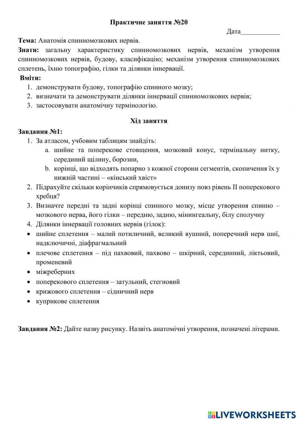 Практичне заняття № 20 Worksheet Live Worksheets