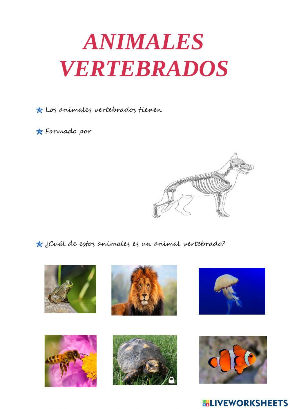 Vertebrados online worksheet for Segundo de Primaria | Live Worksheets