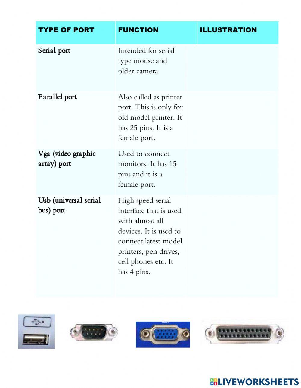 COT1-INTERACTIVE ACTIVITY worksheet | Live Worksheets
