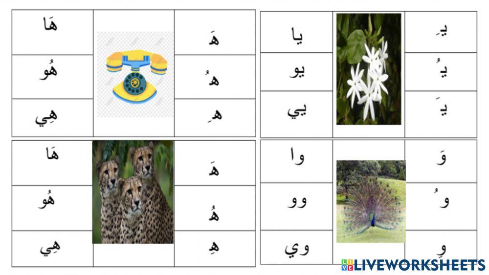حرف الهاء والواو والياء Activity Live Worksheets